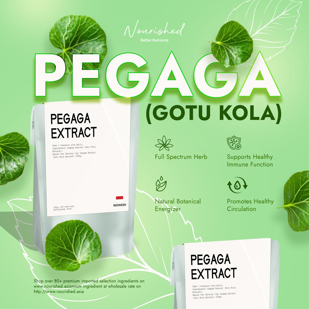 Pegaga Extract (Gotu Kola Extract) – Nourished Asia